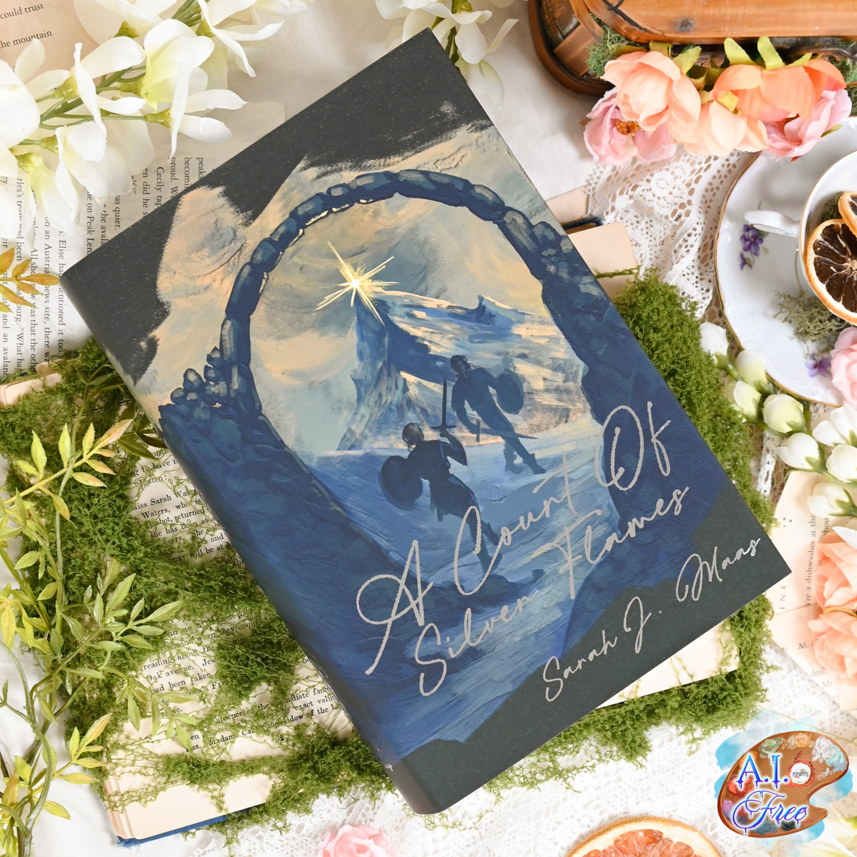 MEGA SALE: ACOTAR Dreamers Special Edition Book Box Set - Bundle #1 (N ...
