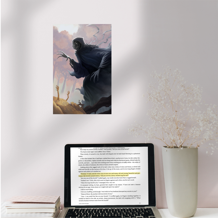 ACOTAR Chapter Fourteen Collector's Vinyl Poster – AcryliPics.com