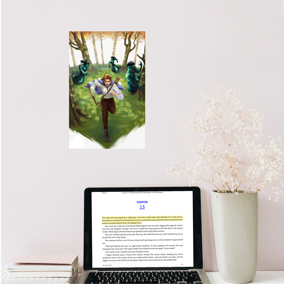 ACOTAR Chapter Fifteen Collector's Vinyl Poster – AcryliPics.com