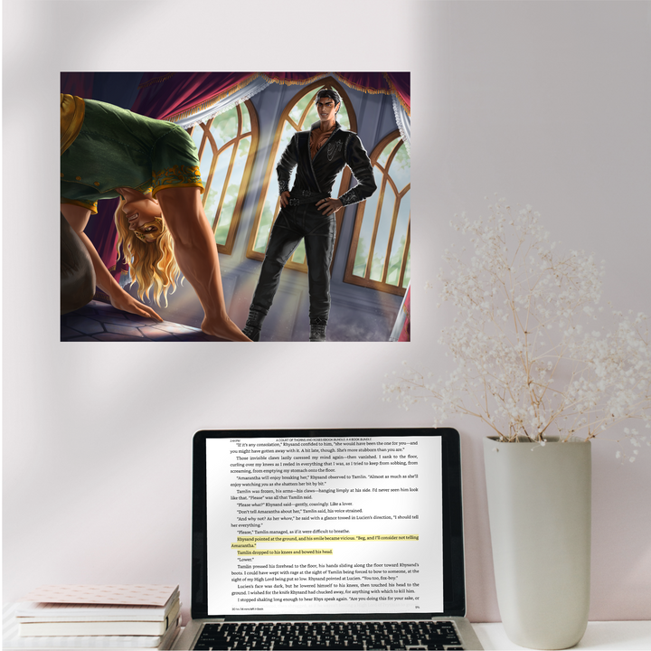 ACOTAR Chapter Twenty-Six Collector's Vinyl Poster – AcryliPics.com