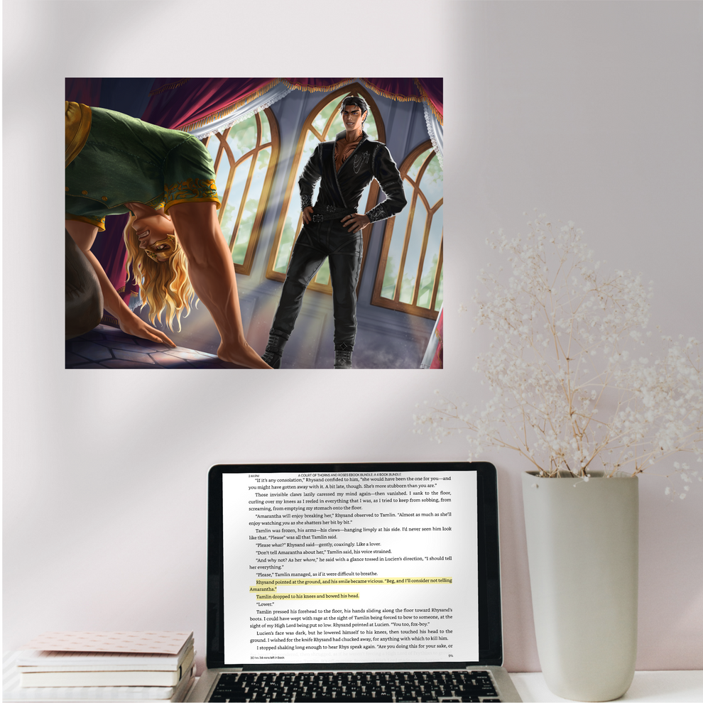 ACOTAR Chapter Twenty-Six Collector's Vinyl Poster – AcryliPics.com